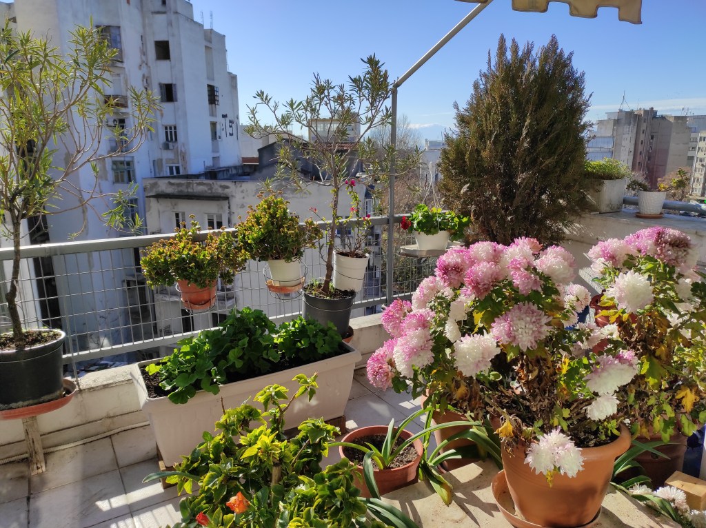 ΕΛΕΝΗ ΧΙΩΤΗ ΠΙΣΤΟΠΟΙΗΜΕΝΗ ΕΡΓΑΤΟΛΟΓΟΣ – ΠΙΣΤΟΠΟΙΗΜΕΝΗ ΕΡΓΑΤΟΛΟΓΟΣ ...